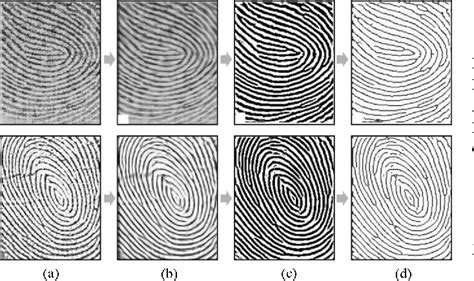 Figure 14 From A Cmos Fingerprint System On A Chip With Adaptable Pixel Networks And Column