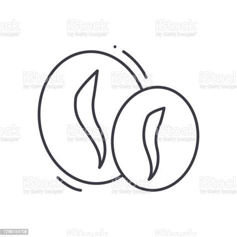 커피 빈 아이콘 선형 절연 일러스트레이션 얇은 선 벡터 웹 디자인 사인 흰색 배경에 편집 가능한 스트로크가 있는 개요 개념 기호 갈색에 대한 스톡 벡터 아트 및 기타 이미지