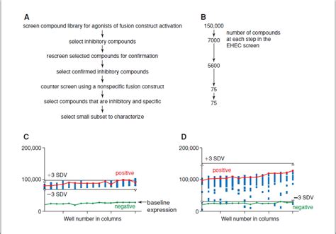 Approaches To Bacterial Infection Therapy By Interfering With Cell To