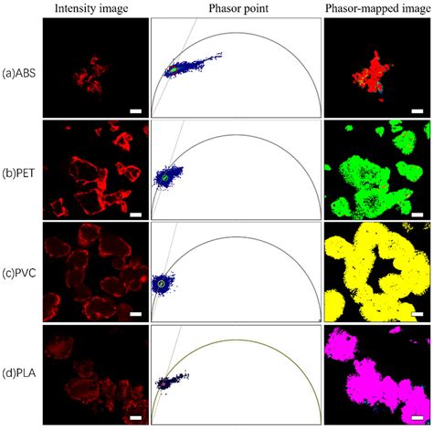 A Rapid Method For Detecting Microplastics Based On Fluorescence Lifetime Imaging Technology Flim