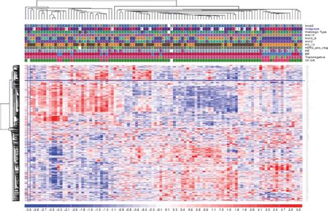 Unsupervised Hierarchical Clustering For 103 Samples And 603 Valid Download Scientific Diagram
