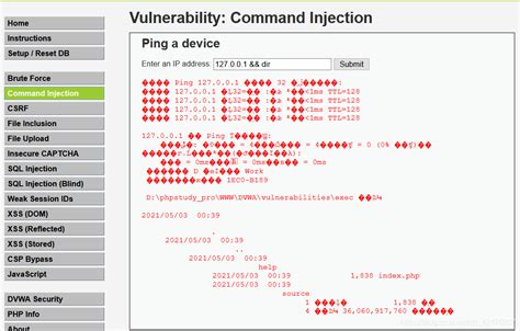 Command Injection（命令注入）vulnerability Command Injection Csdn博客