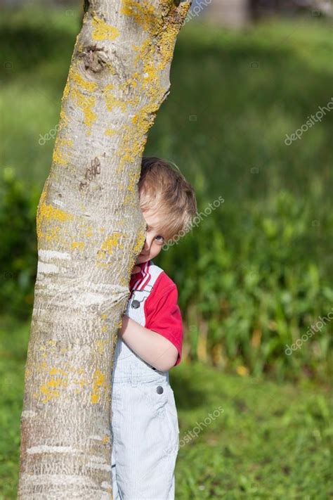 Babe Hiding Behind Tree Trunk In Yard Stock Photo Racorn 27210629