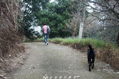 九份二山國家地震紀念地 九二一大地震碎裂的傷口 震爆點 出發吧 沃爾夫