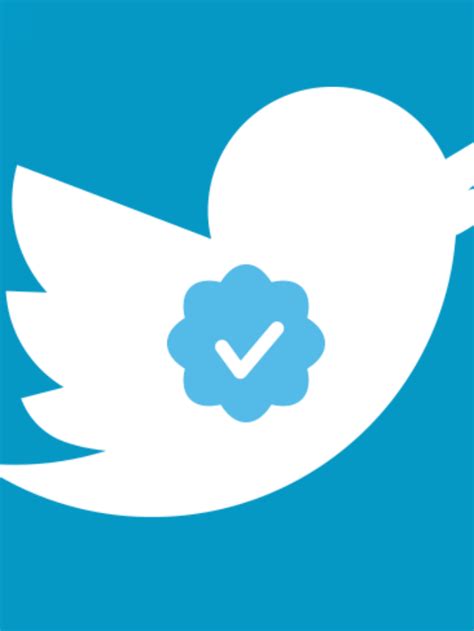 ¿qué Pasa Con Twitter Infobae Stories