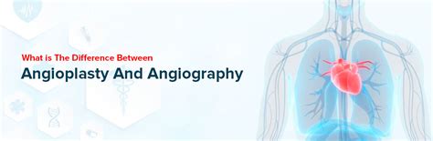 What Is The Difference Between Whole Body Dexa Scan And Axial Skeleton Dexa Scan
