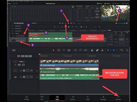Come Aggiungere Una Registrazione Vocale Ai Video Con Audio Con DaVinci Resolve YouTube