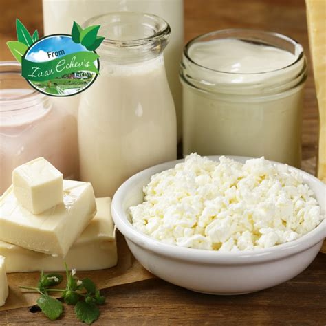 Ист Екологично чисти продукти от фермата на ЗПИван Ечев