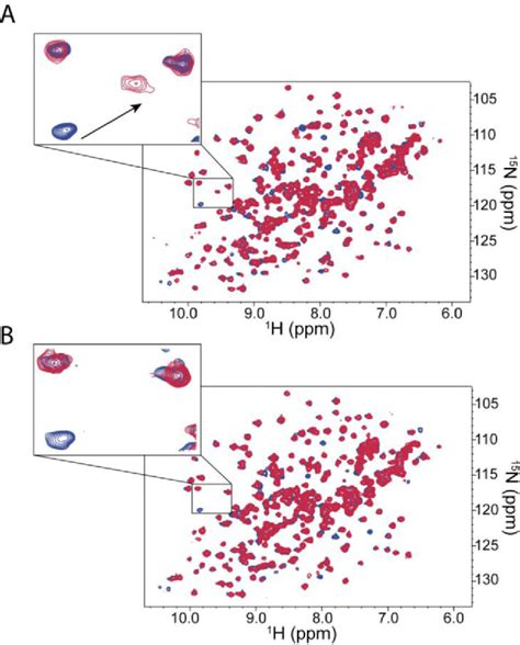 Figure 2 From Discovery And Optimization Of Salicylic Acid Derived Sulfonamide Inhibitors Of The
