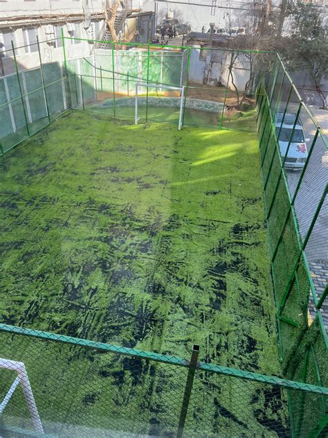 თბილ თბილისის არქიმედეს სკოლა Tbilisi Archimedes School