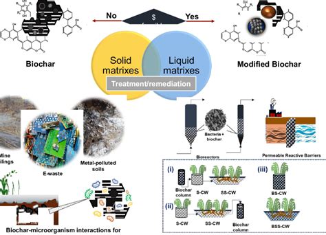 Metal Removal By Microbial Biochar Modified Biochar Based Solutions For