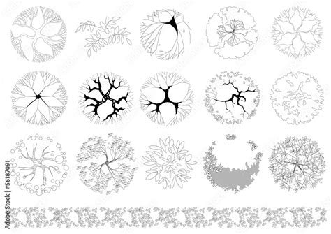 Set Of Trees And Shrubs Top View Vector Graphic Stock Vector Adobe Stock