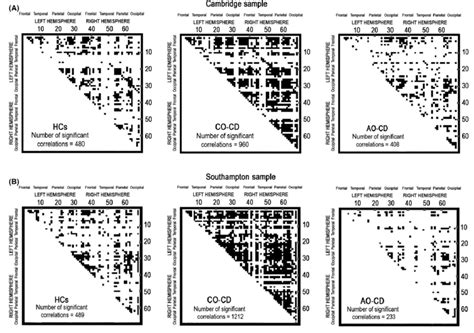 Cross Cortical Correlation Matrices Between Regions In Healthy Controls