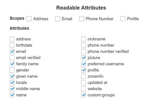 How To Get Custom Attributes Back From Aws Cognito And Oidc When Using