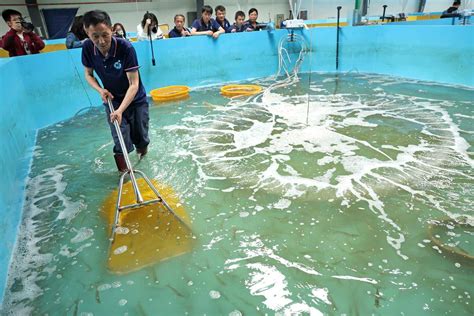 我省最大“海鲜陆养”基地南美白对虾“抢鲜”开捕养殖东西湖区农户