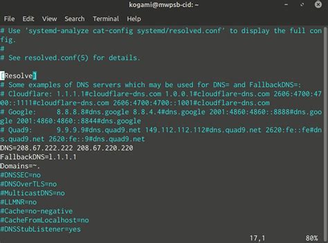 How To Customize Dns With Systemd Resolved On Linuxjonathan Terrasi