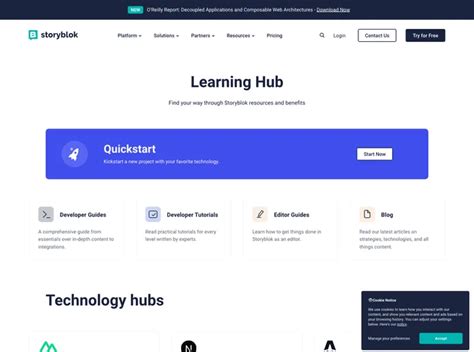 vue storyblok vue templates