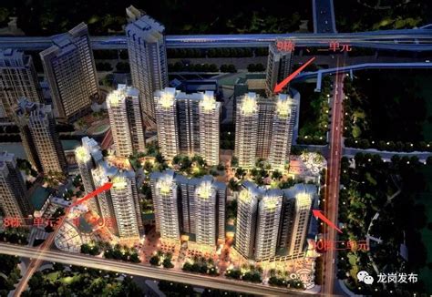 934套！龙岗2019年首批人才住房即将选房啦！澎湃号·政务澎湃新闻 The Paper