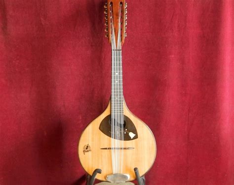 12 String Mandolin Or Mandriola Etsy