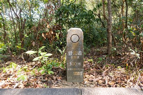 梧桐山毛棉杜鹃花会图片浏览 梧桐山毛棉杜鹃花会图片下载 酷吧图库