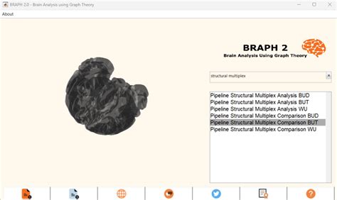Pipeline Structural Multiplex Comparison But Braph
