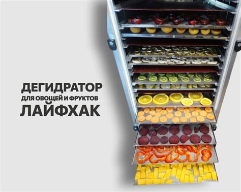 Хотите чтобы после сушки ваши фрукты и овощи сохранили свои естественные вкусовые качества и