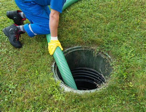 Rooting Out Tree Roots From Your Septic System Streamline Environmental Drainage