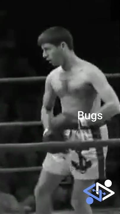 Developer Life With Bug Codefordesign Youtube