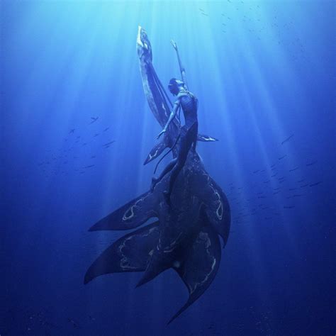 Whats Are Some Hot Takes You Have In Regards To The Avatar Franchise And Fandom As A Whole R