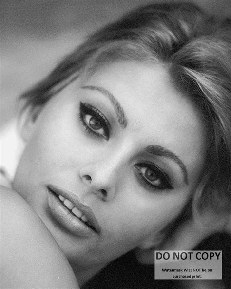 Sophia Loren Legendary Actress And Sex Symbol X Or X Publicity Photo Nn Etsy