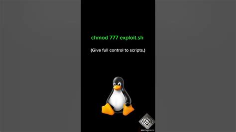 Linux Commands Every Hacker Must Know Youtube