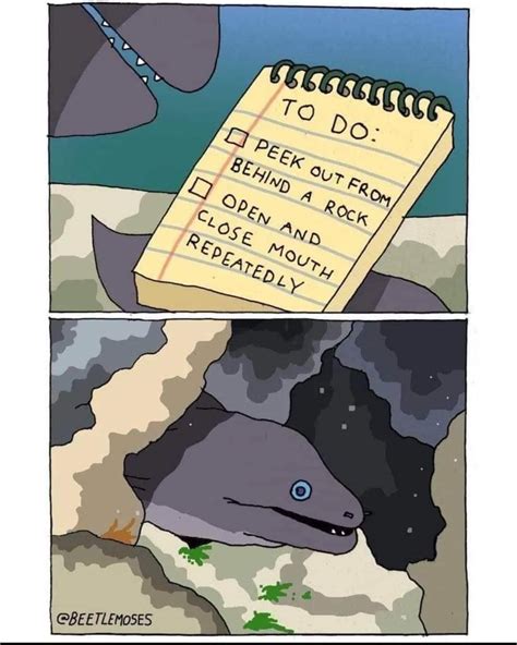 Eel Rule R 196