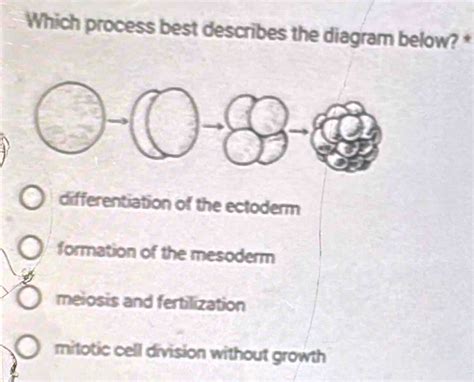 Solved Which Process Best Describes The Diagram Below