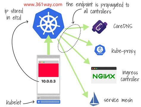 在k8s中创建pod时发生了什么 云原生之路