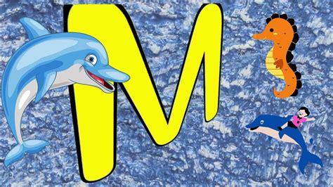 Abc Abcd Abcde A For Apple B For Ball C For Cat Alphabets