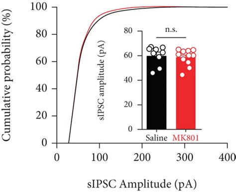 Electrophysiological Recording Of Pyramidal Neurons And Pvis⁺ In The Download Scientific
