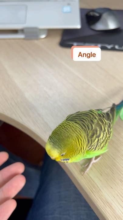 Sean Sheng On Linkedin An Angel Came To My Desk In The Morning So