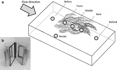 Schematic Overview Of The Different Sampling Points Grey Circles In Download Scientific