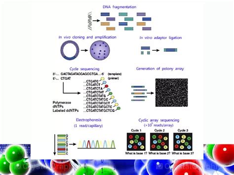 Transcriptomics Pptx Transcriptomics Pptx