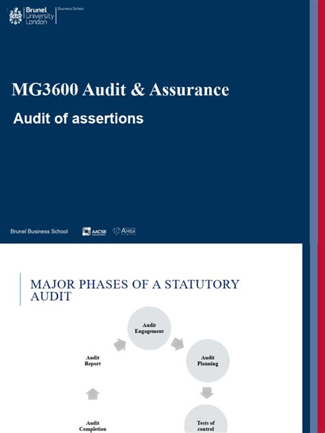 Lecture Slides Audit Assertions Testing Pdf Audit Financial Audit