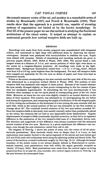 Receptive Fields Binocular Interaction And Functional Architecture In The Cats Visual Cortex Pmc