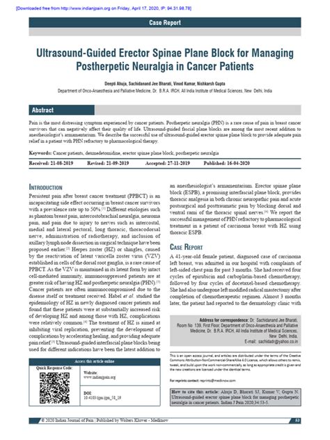 Ultrasound Guidederectorspinaeplaneblockform Pdf Nervous System Feeling
