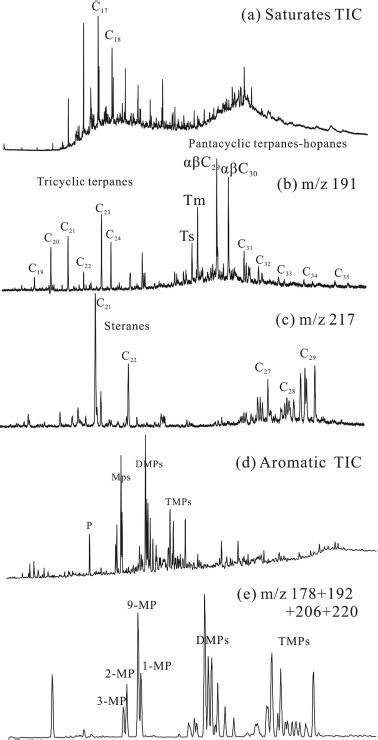 Gc Ms Total Ion Chromatogram Tic Of The Saturated Fraction In Eom Of