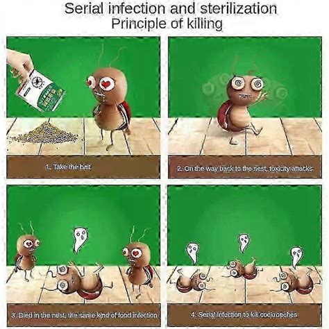 5 100 Bags Professional Cockroach Killing Bait Powder With Insect Attractant Formula For