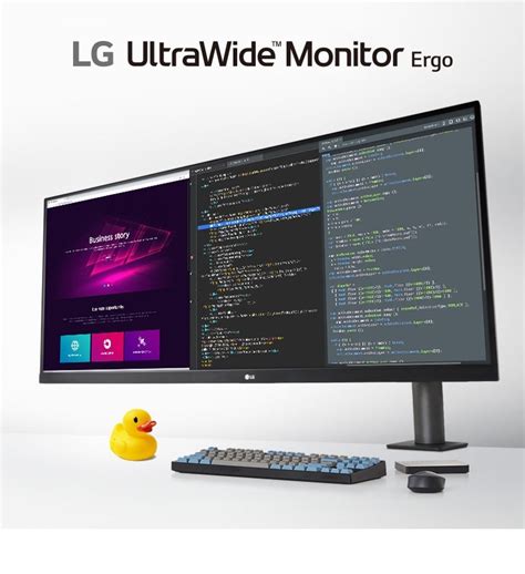 LG Monitor Ergo LG HK