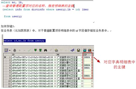 数据字典与配置管理技术 csdn博客