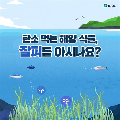Kprc 안녕하세요 에코리입니다 D 2017년부터 빈 병 보증금이 인상된 사실 저번에 에코리가 전해드렸었죠 그래서 등장한 병테크빈 병재테크 어떻게 하는지