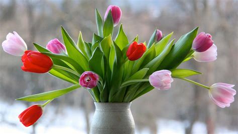 Flower Vase Wallpapers Wallpaper Cave