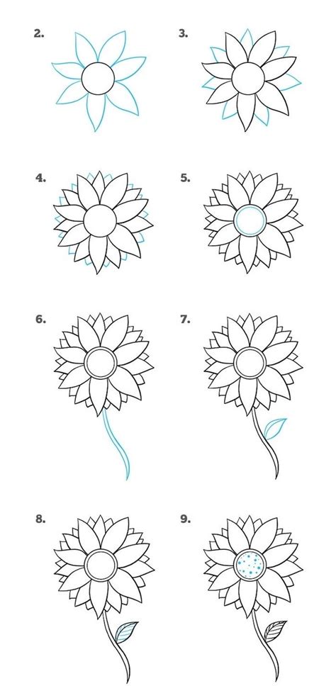 Simple Drawings Of Flowers Step By Step