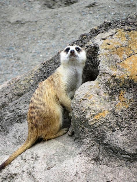 Wdw January 19 Ccxc By Ldfranklin On Deviantart